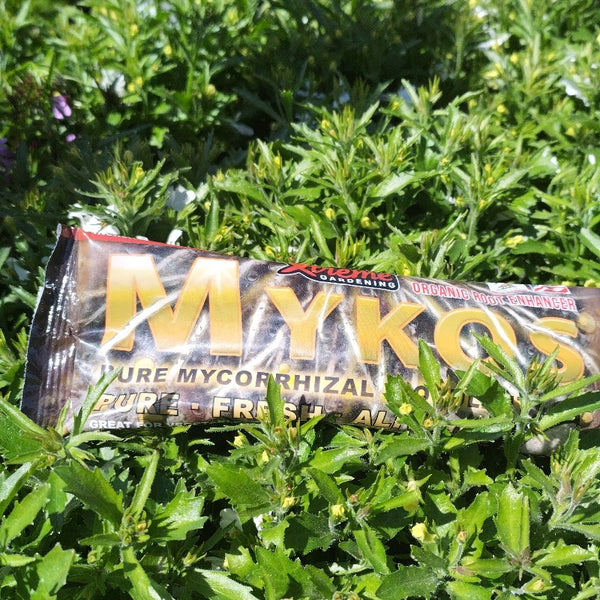 Xtreme Gardening Mykos 100g – Westbrae Nursery